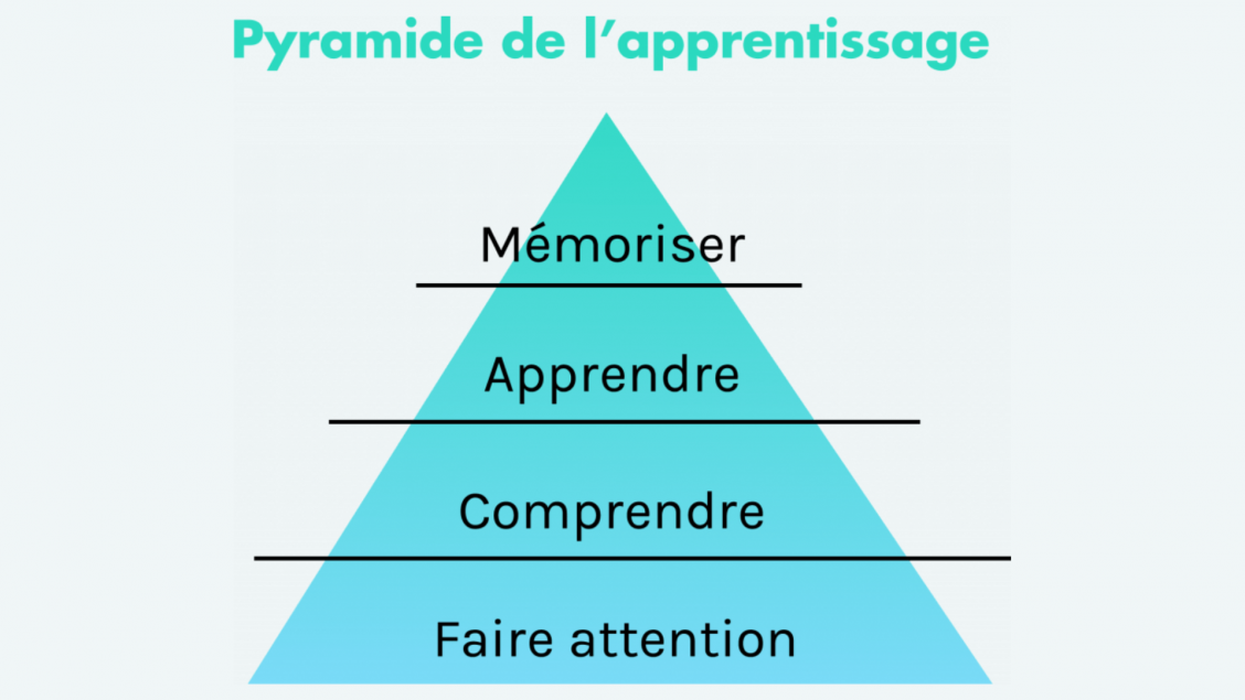 Méthodes d’apprentissage : Les découvertes des neurosciences - Uptale